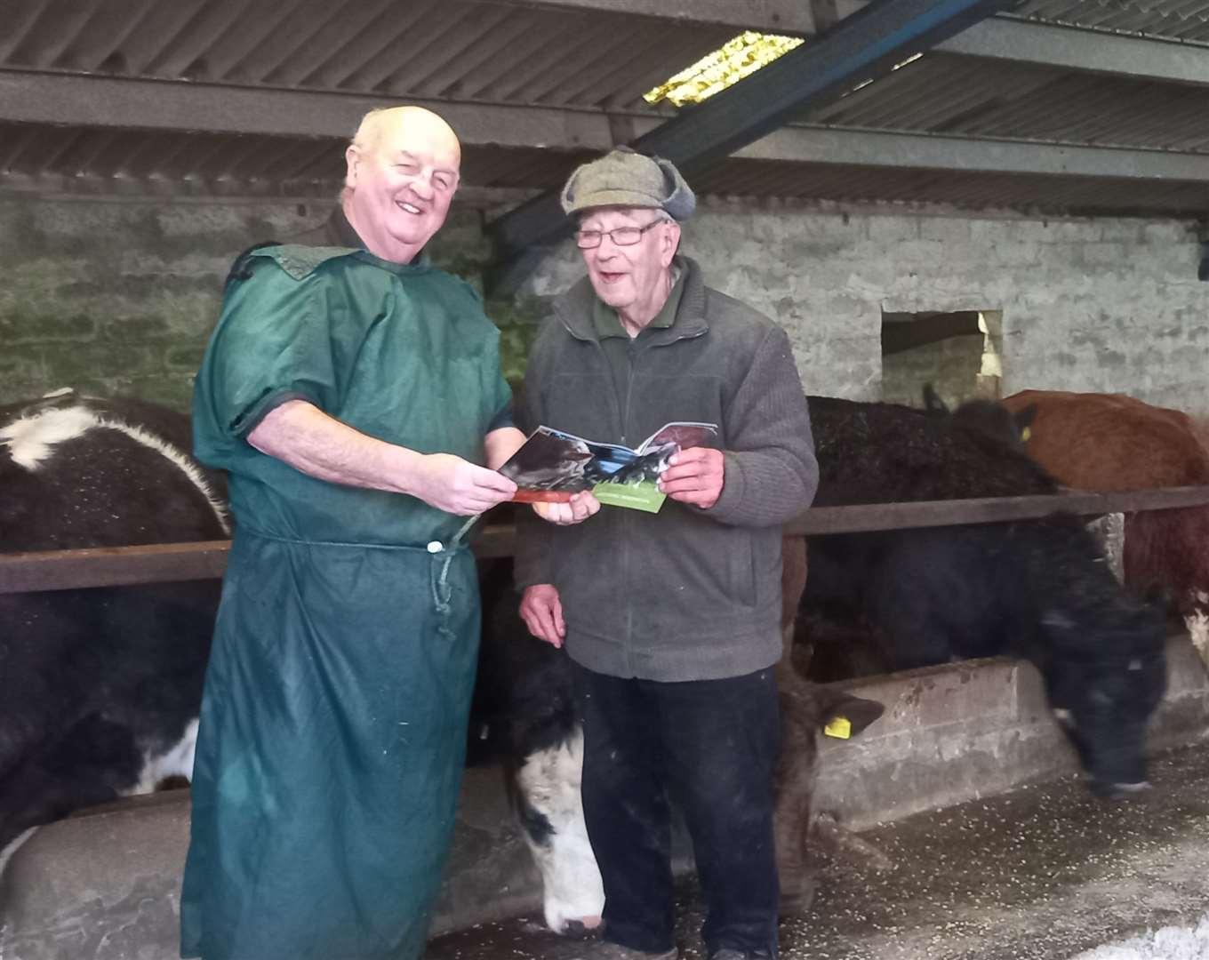 Latheronwheel crofter's record-breaking year using artificial insemination Latheronwheel crofter's record-breaking year using artificial insemination